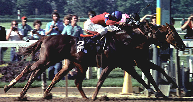 Victory Gallop and Affirmed thrill packed Belmont Park crowds | Belmont ...