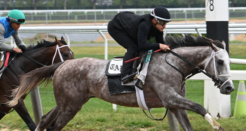 G1 Belmont Stakes contestant Tapit Trice could provide Pope with ...